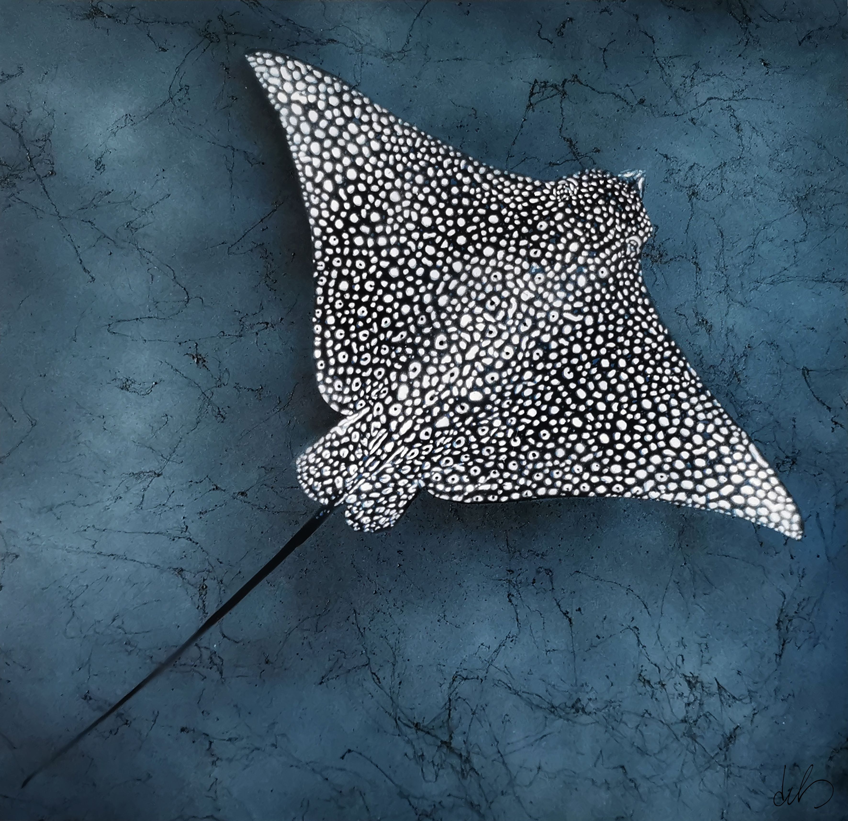 RAIE LÉOPARD | Private Museum