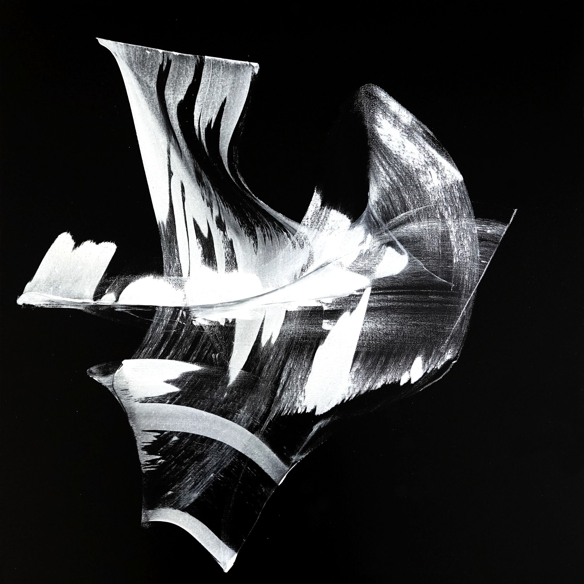 TRANSITIONARY | Private Museum